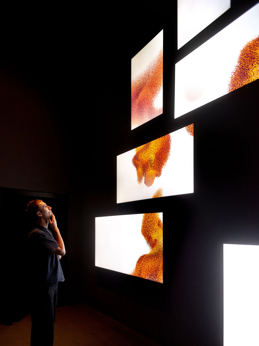 Random International: entre la tecnología y la experiencia humana ...